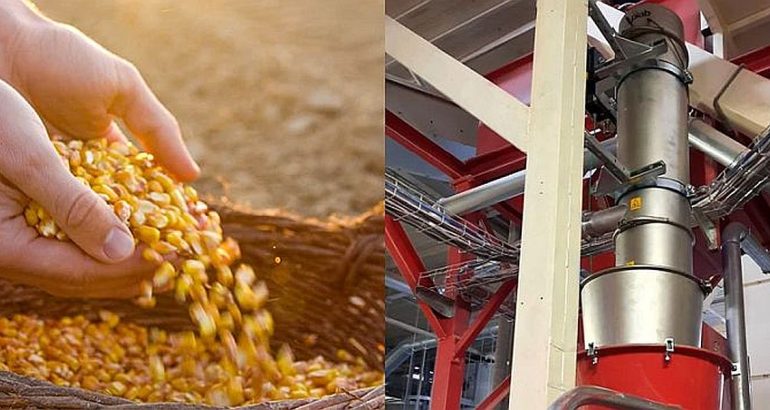 Corn seed coating powder transportation, automation by Piab