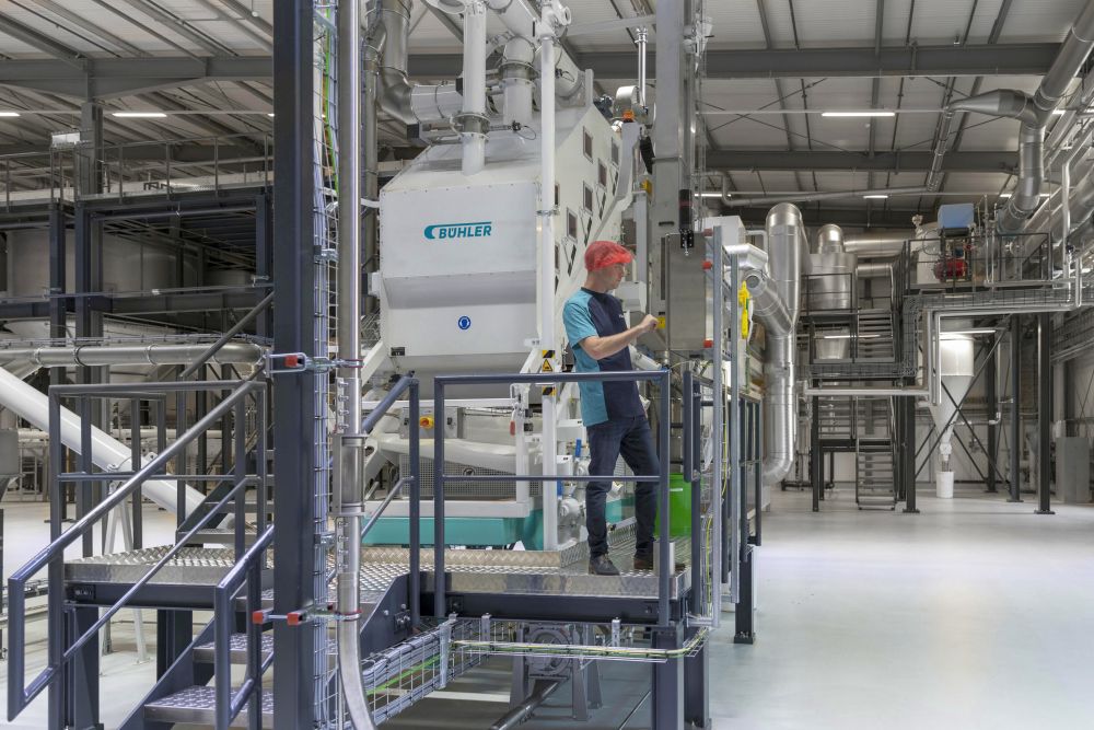 Cocoa processing plant: roasting, grinding beans into cocoa mass