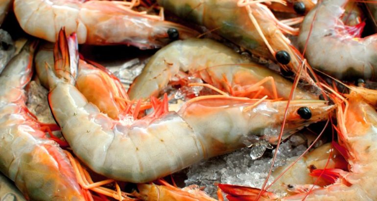 Safe process for fish and seafood products: tempering, defrosting